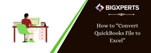 How to Convert QuickBooks File to Excel Bigxperts