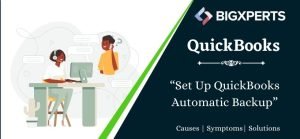 How to Set Up QuickBooks Automatic Backup? - [Guide]